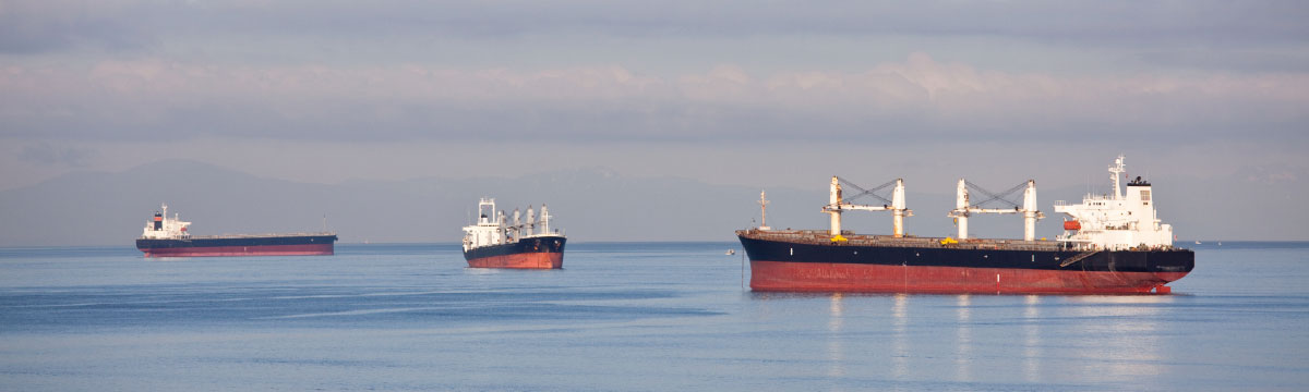 About Us – Rapp-it